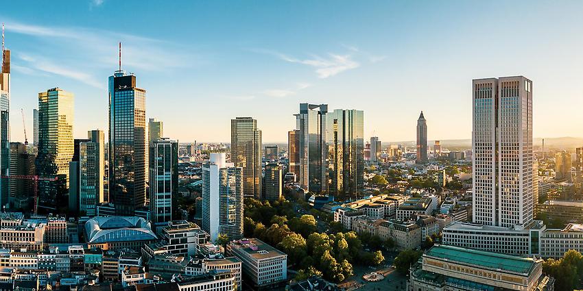 PMflex – Projektmanagement mit System